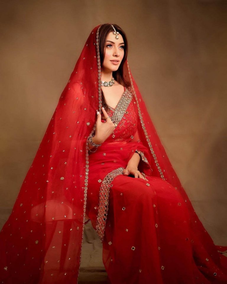 Hansika Motwani Tempting Ethnical Looks And Outfits - K4 Fashion