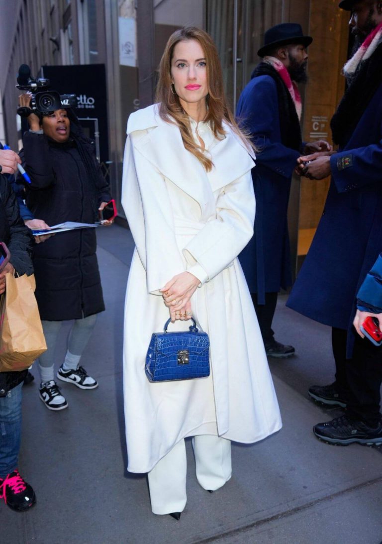 Allison Williams - Outfits, Style, and Looks - K4 Fashion